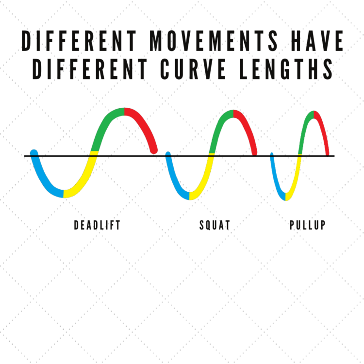 5 Strength Training Principles All Physical Therapists Should Know - Motion